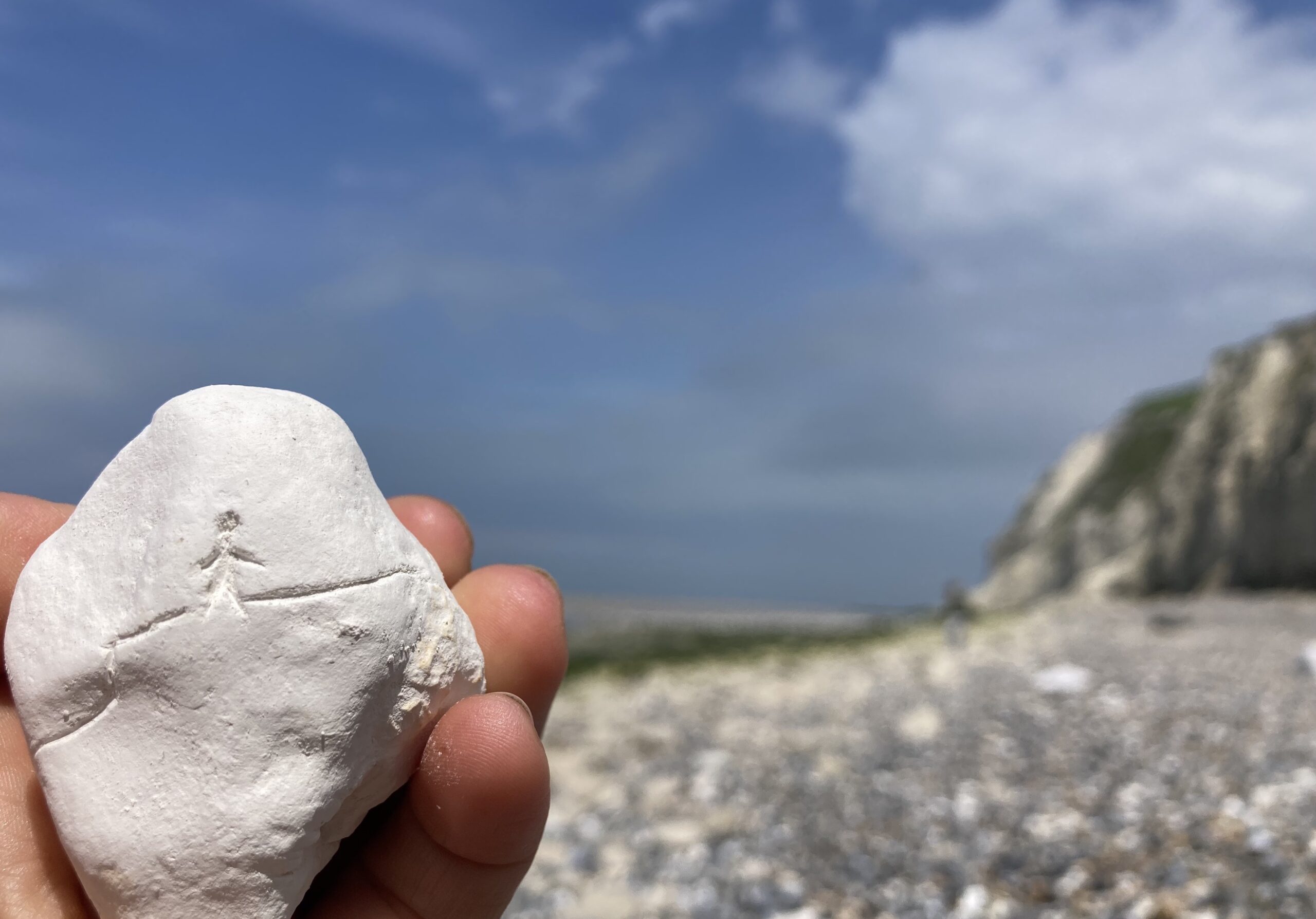 Chalk Workshop | Cross-Channel Geopark